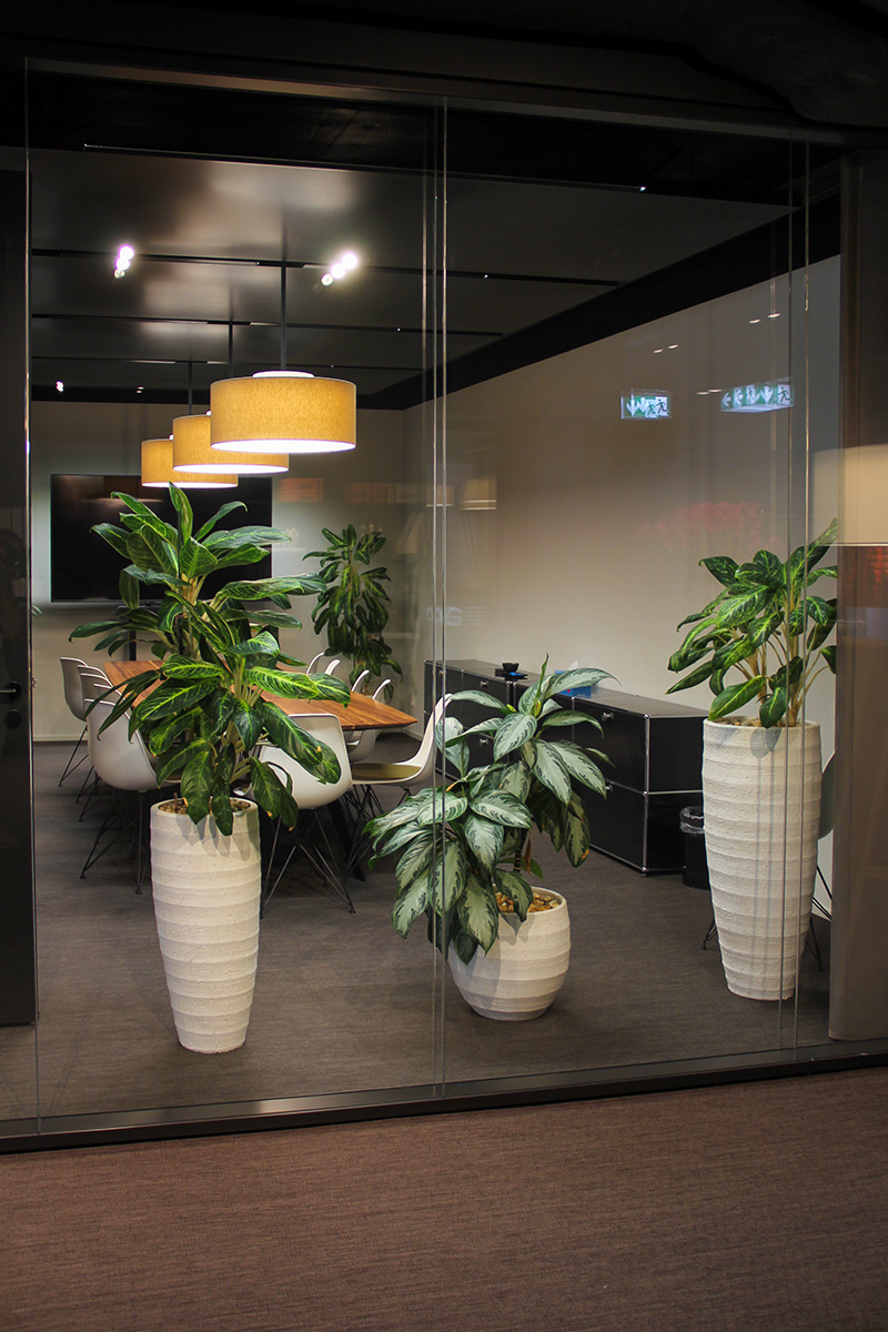 SABAG Cham - Lightguide